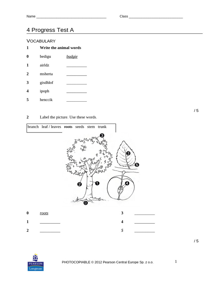 Progress Test 4 A | PDF