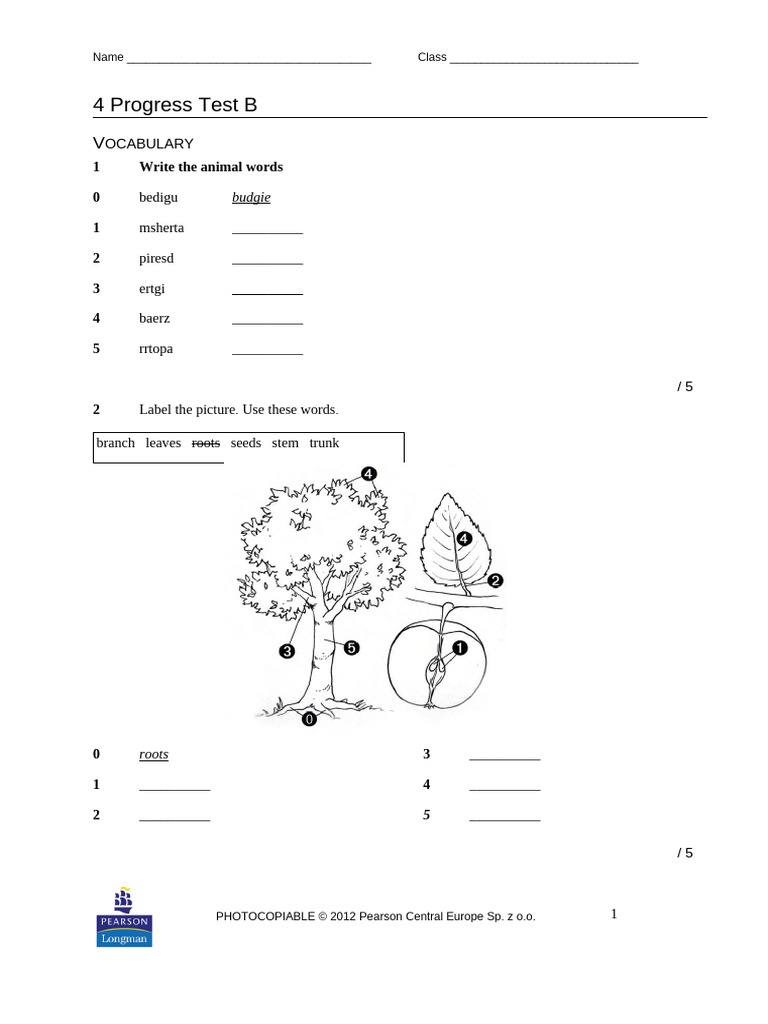 Progress Test 4 B Pdf