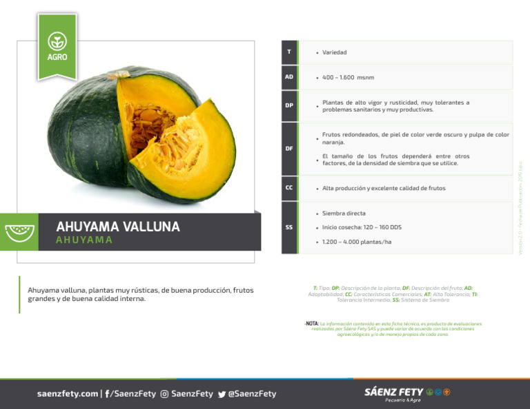 Ahuyama Valluna: Alta Producción y Calidad | PDF | Agricultura
