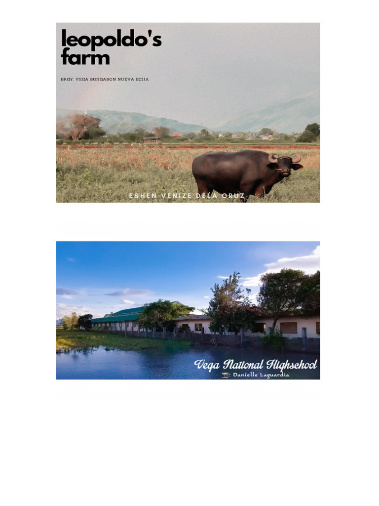 Landscape Shots | PDF