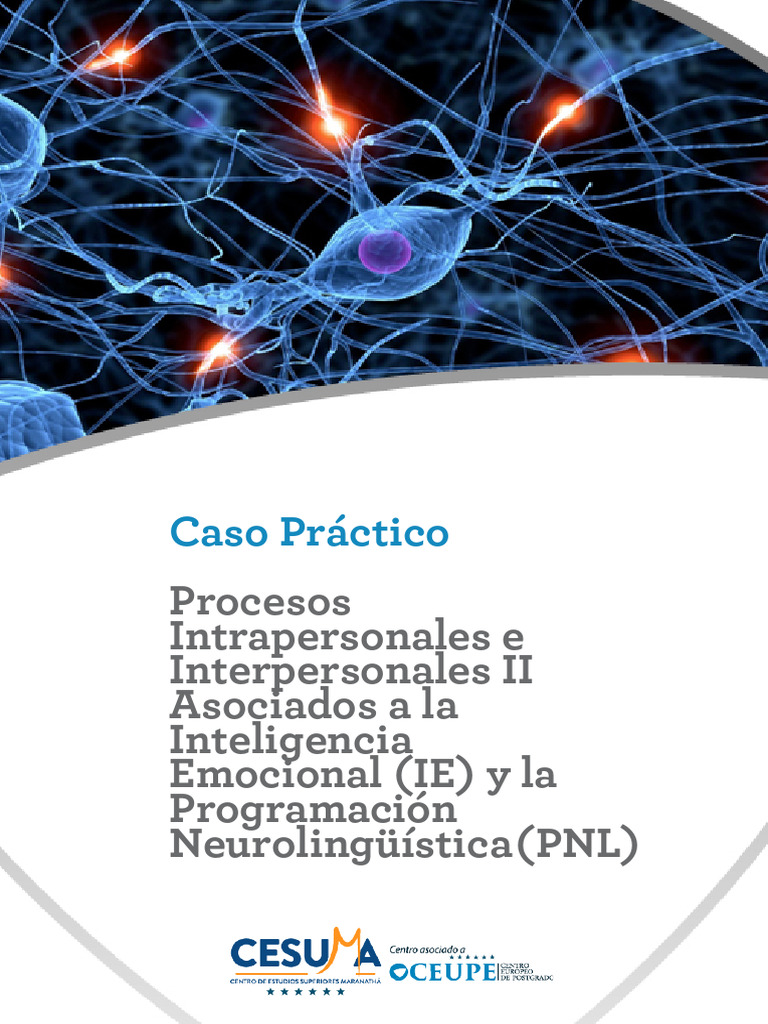 Caso - Practico - Procesos Intrap II | PDF