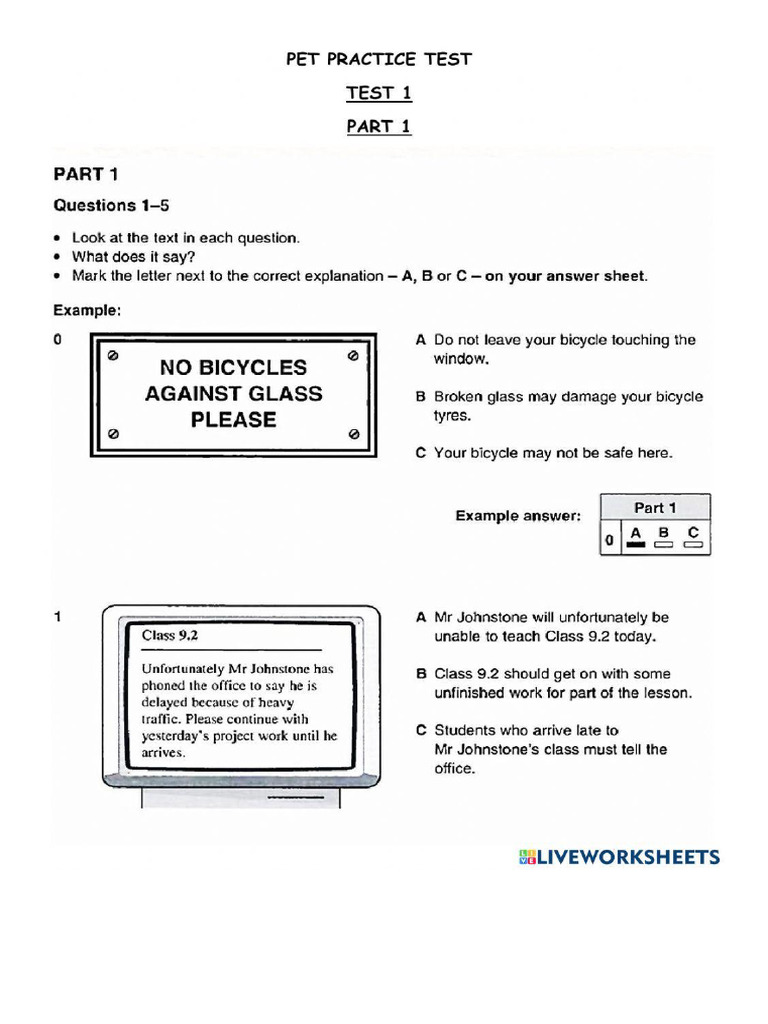 Pet Reading Part 1 | PDF