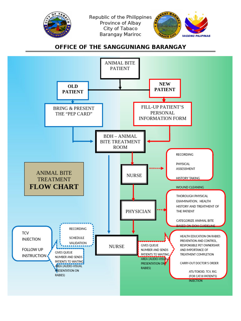 Animal Bite Flowchart | PDF