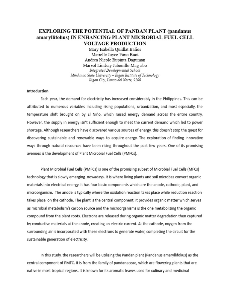 Concept Paper | PDF