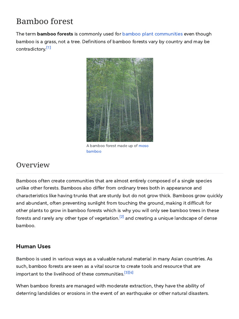 Bamboo Forest - Wikipedia | PDF