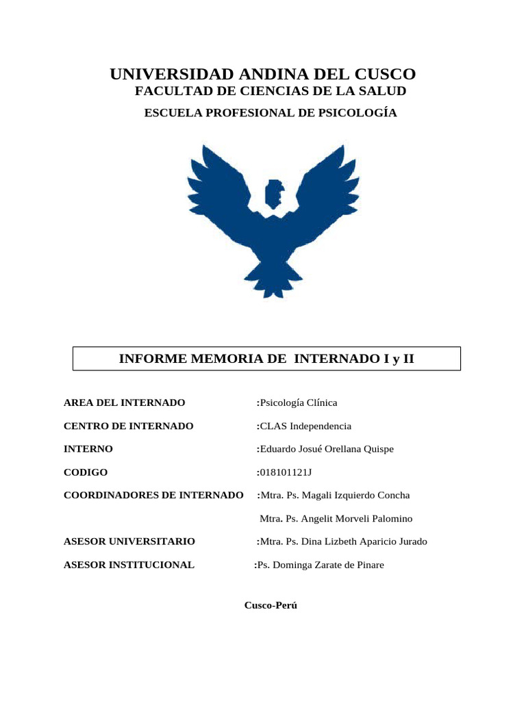 Informe Memoria Internado.. | PDF
