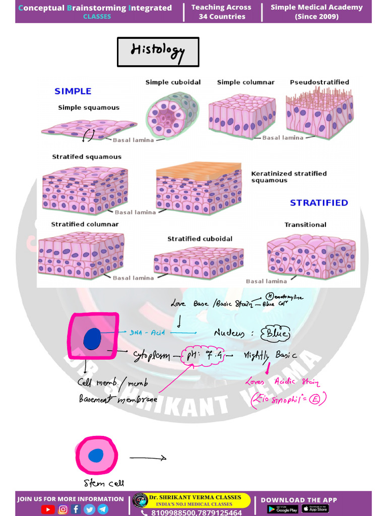 Histology | PDF