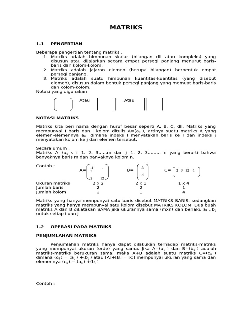 MATRIKS | PDF