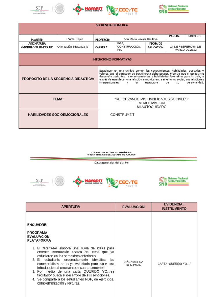 Planeación Orientación IV | PDF