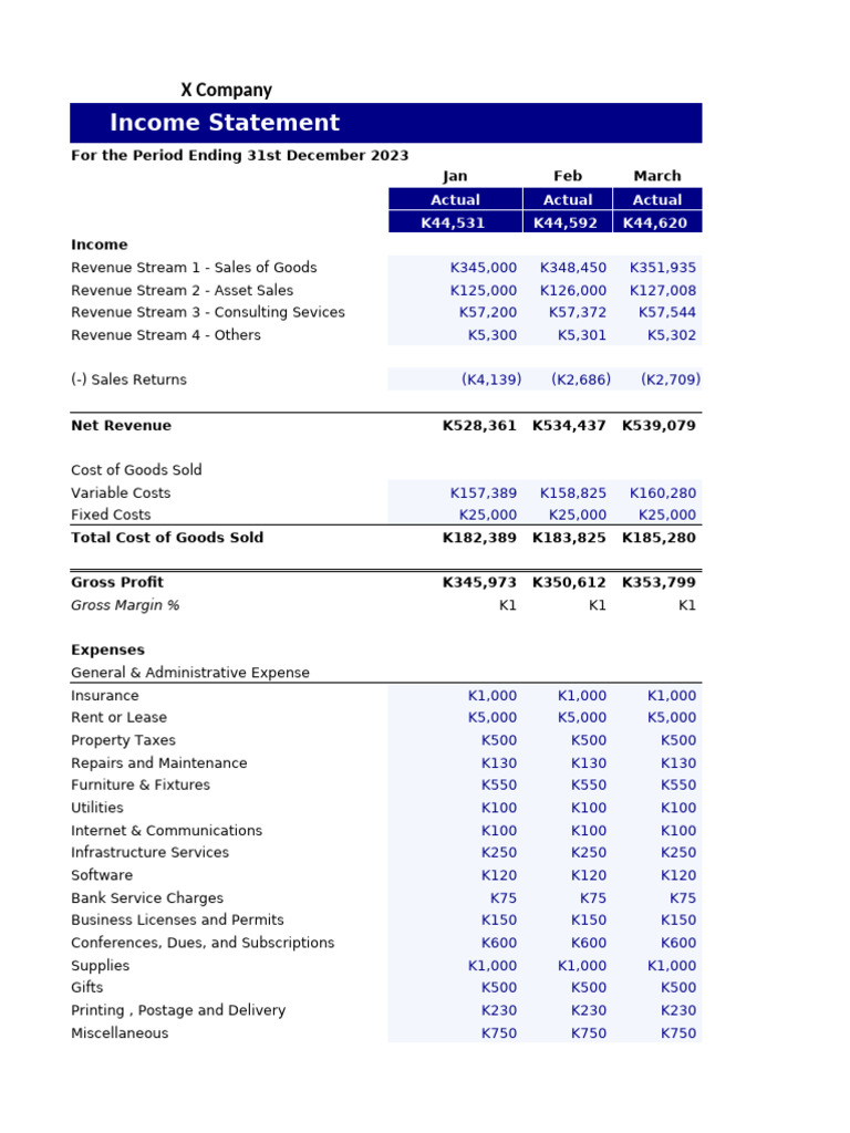 Company X Financial Statements | PDF