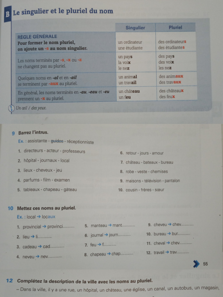 Les Articles Et Pluriel Des Noms | PDF