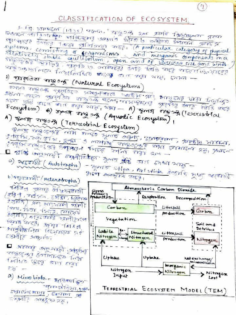Classification Of Ecosystem Pdf