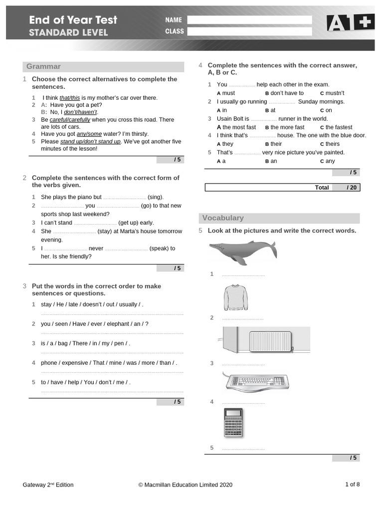 A1+ End of Year Test Standard | PDF