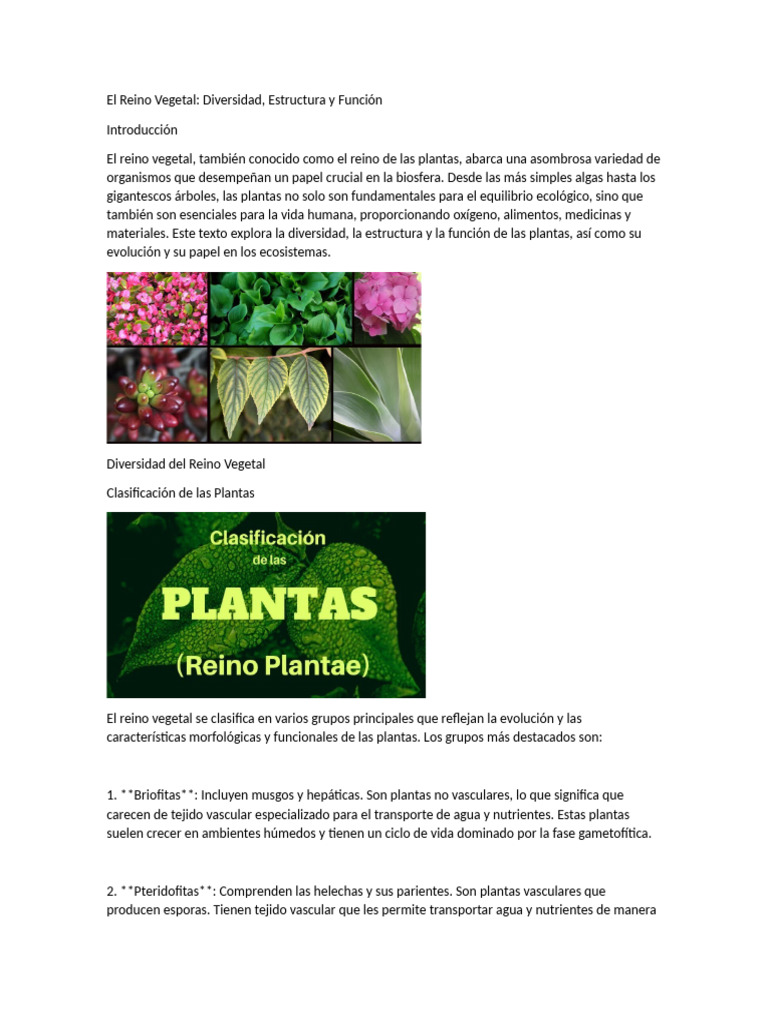El Reino Vegetal | PDF