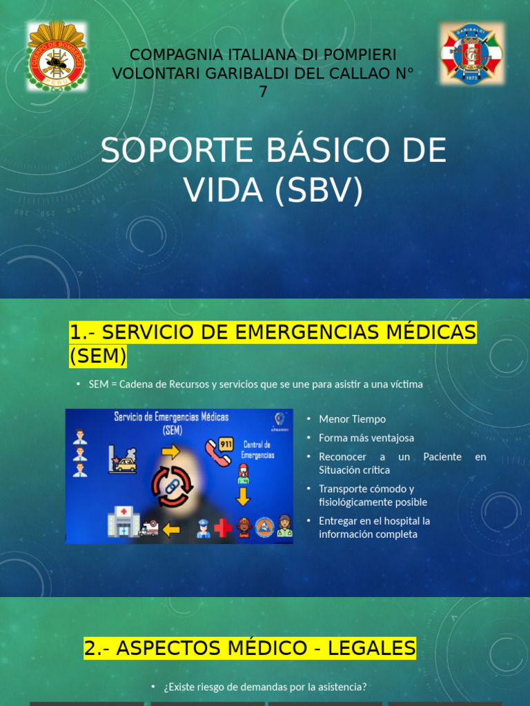 Soporte Básico de Vida (SBV) | PDF