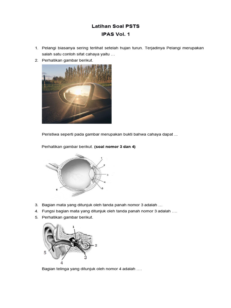 LatSo PSTS IPA | PDF