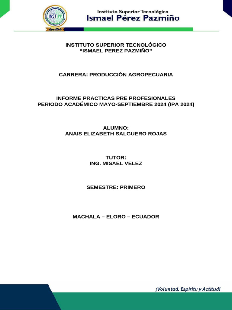 Formato Informe Parcial Practicas Proprofesionales Anaiss | PDF