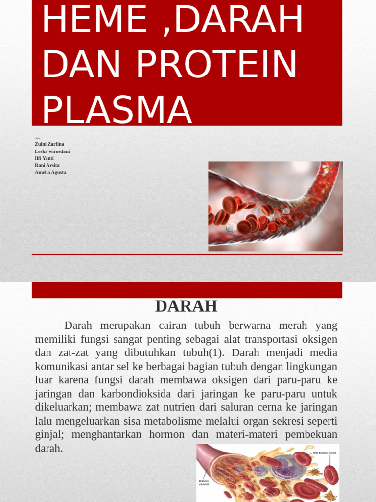 Heme, Darah Dan Protein Plasma | PDF