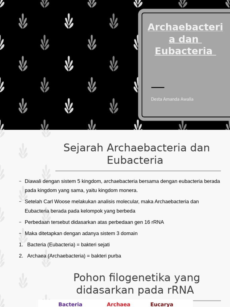 Archaebacteria Dan Eubacteria | PDF