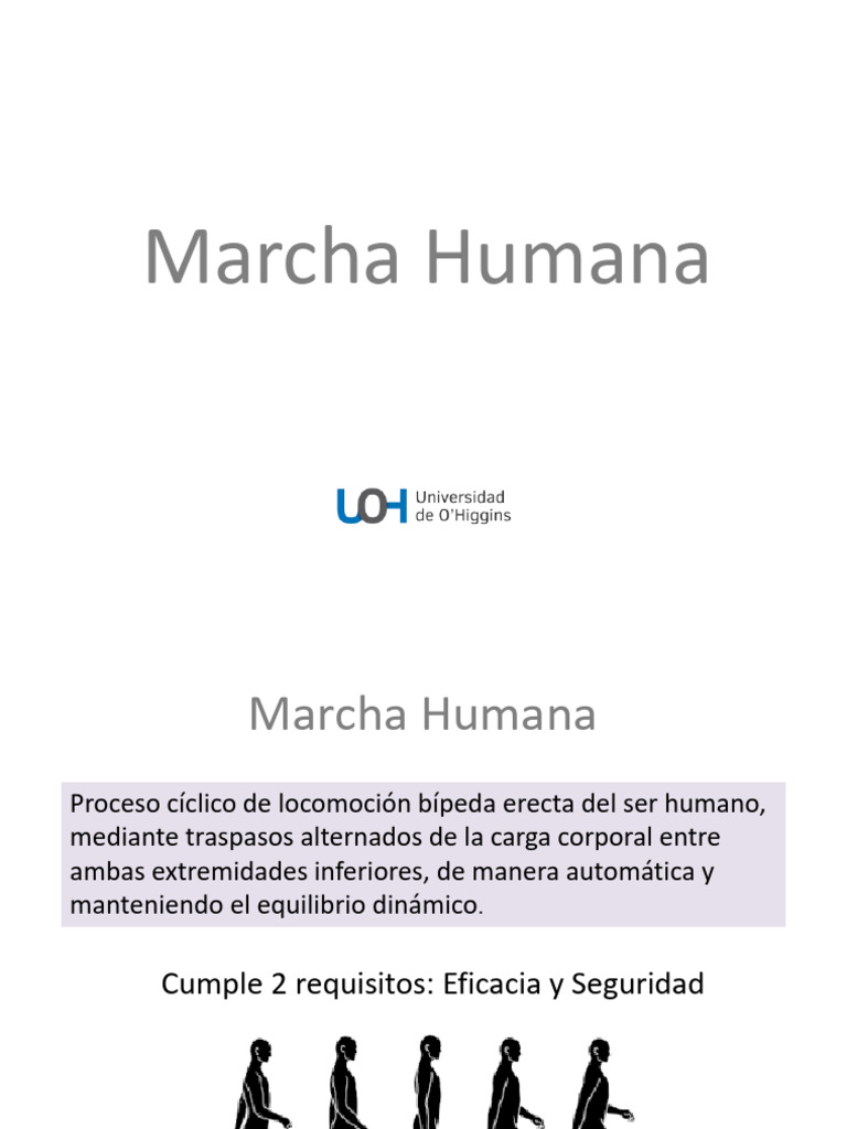 Marcha Humana | PDF