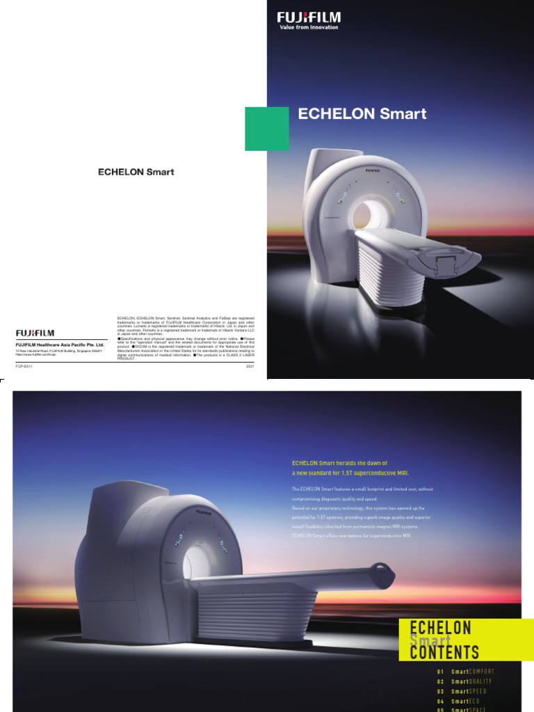 Echelon Smart Konsolidasi | PDF