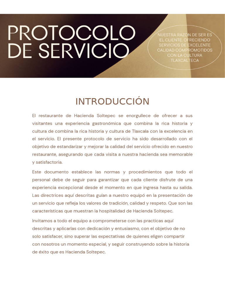Protocolo de Servicio | PDF
