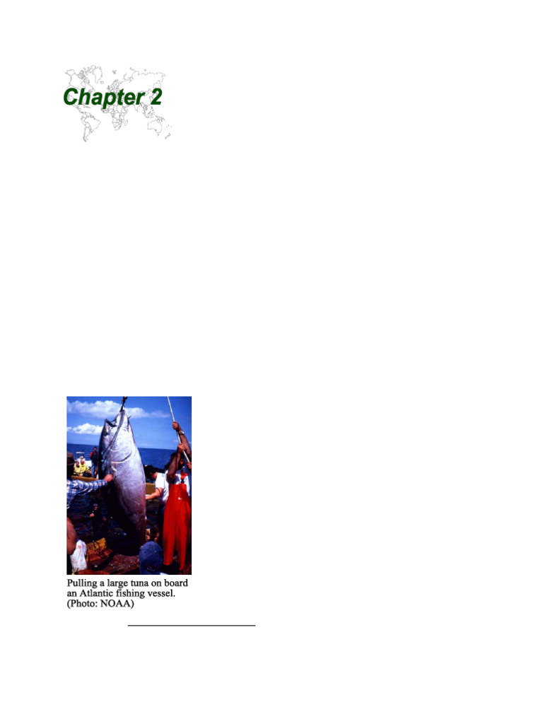 Chap 02 - BoP2 | PDF