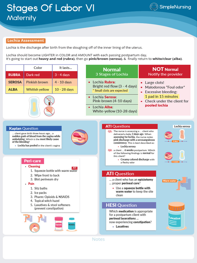 6 - Lochia Assessment | PDF