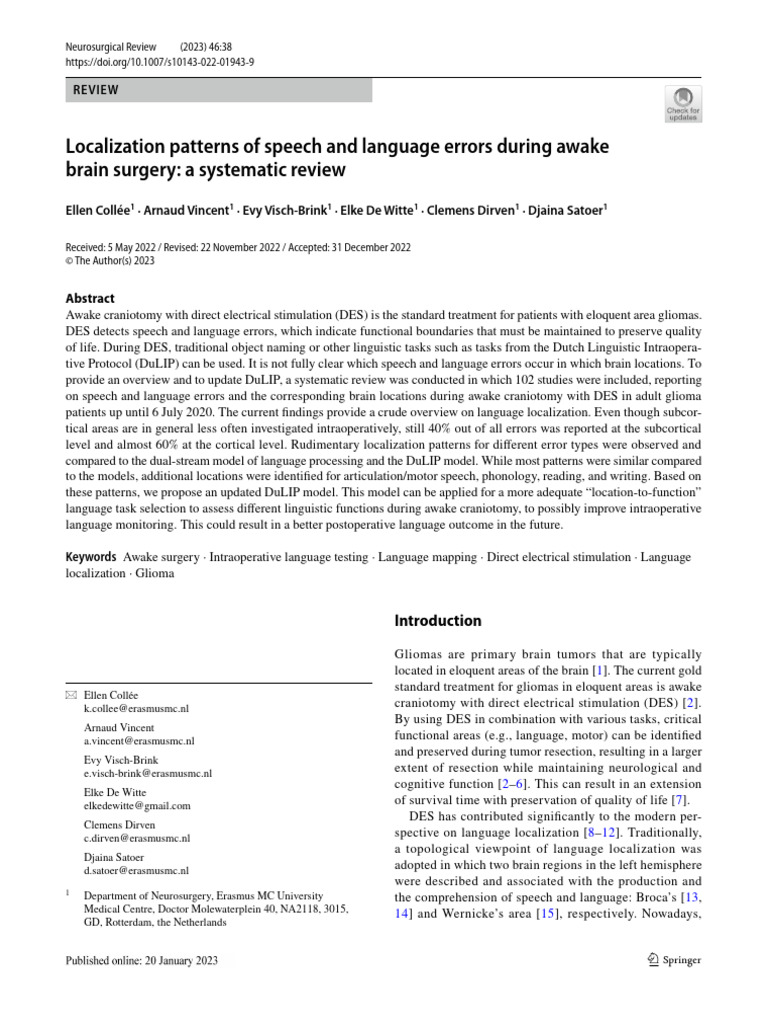 Localization Patterns of Speech and Language Error | PDF