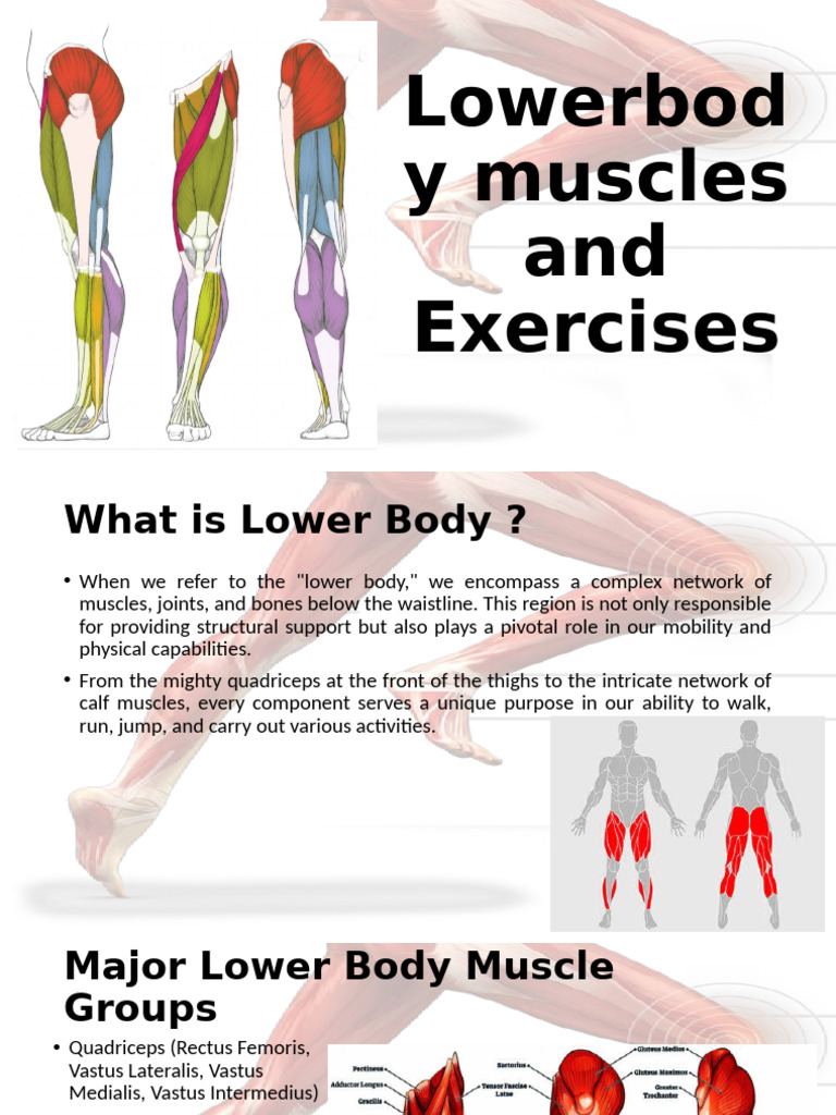 Lowerbody Muscles and Exercise With Muscle Action | PDF