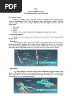 GCSE PE Skeleton Overview | PDF | Anatomy | Musculoskeletal System