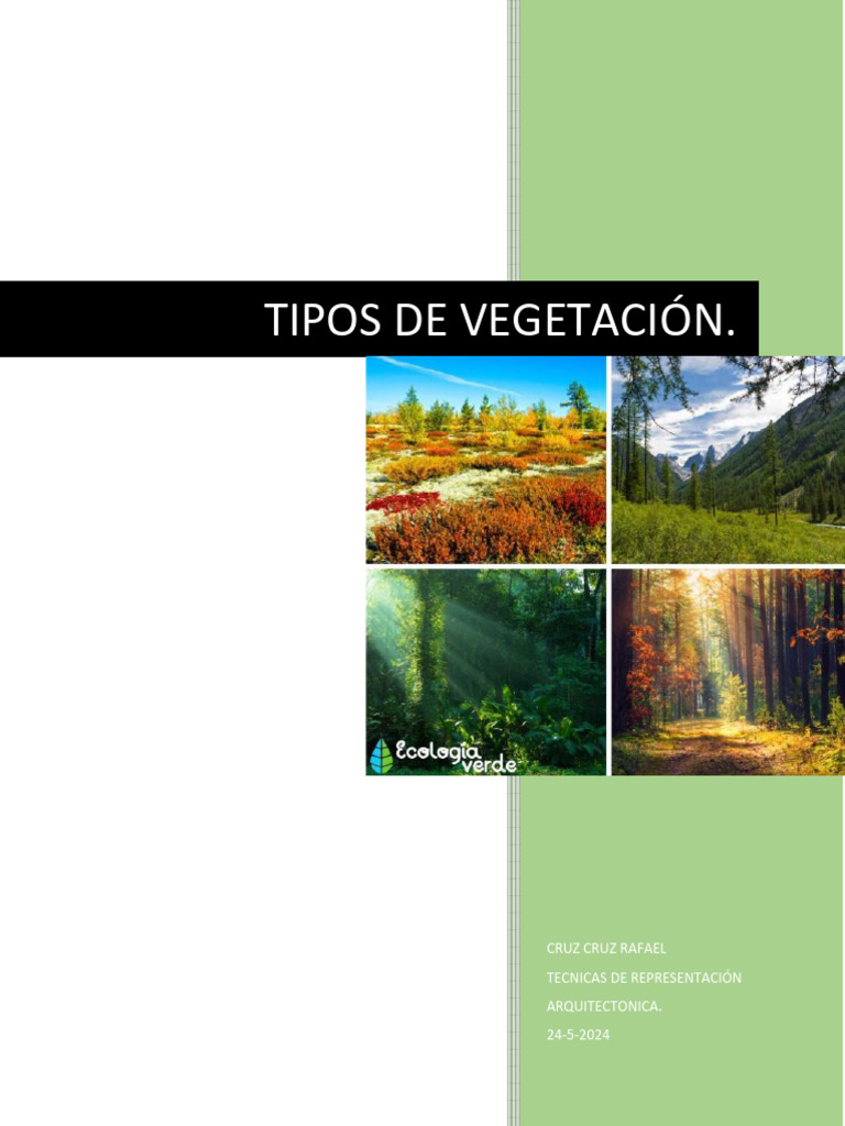 Tipos de Vegetación | PDF