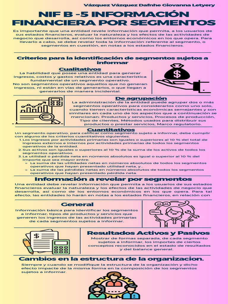 Nif B-5 Informacion Financiera Por Segmentos | PDF