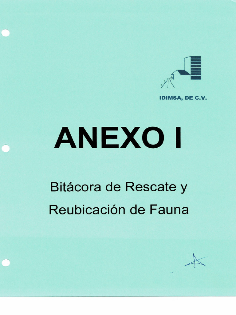 Anexos 01 | PDF