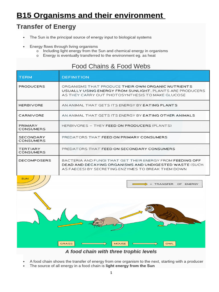 B15 Organisms and Their Environment | PDF