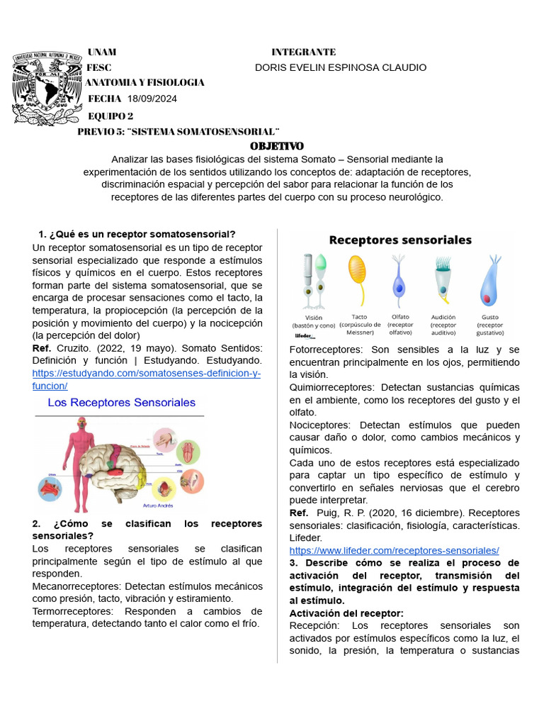 Anatomia Previo | PDF