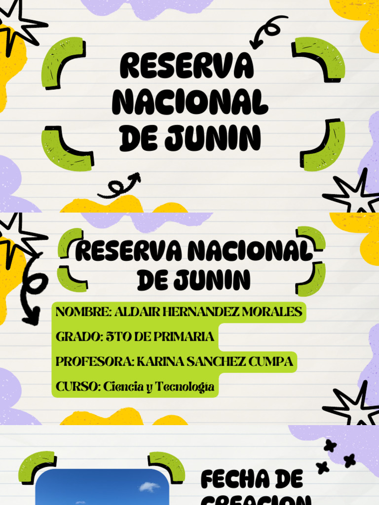 Aldair, RESERVA DE JUNIN | PDF