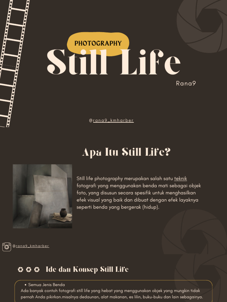 Still Life Photography | PDF