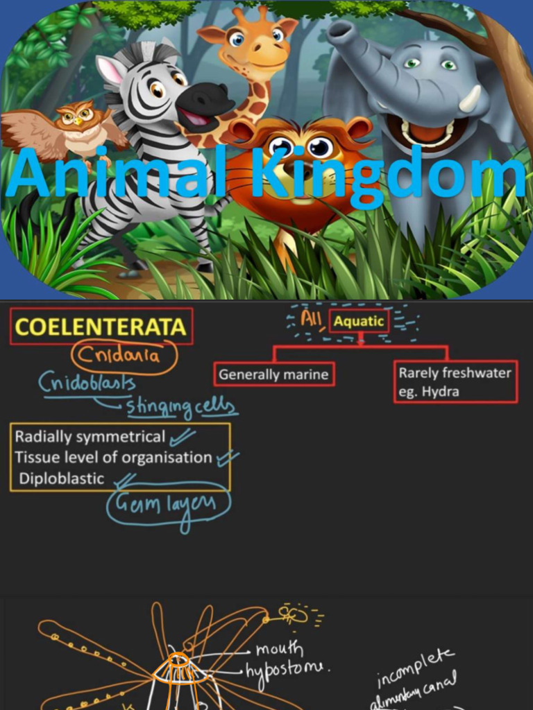 Animal Kindom (Part-4) - Compressed | PDF