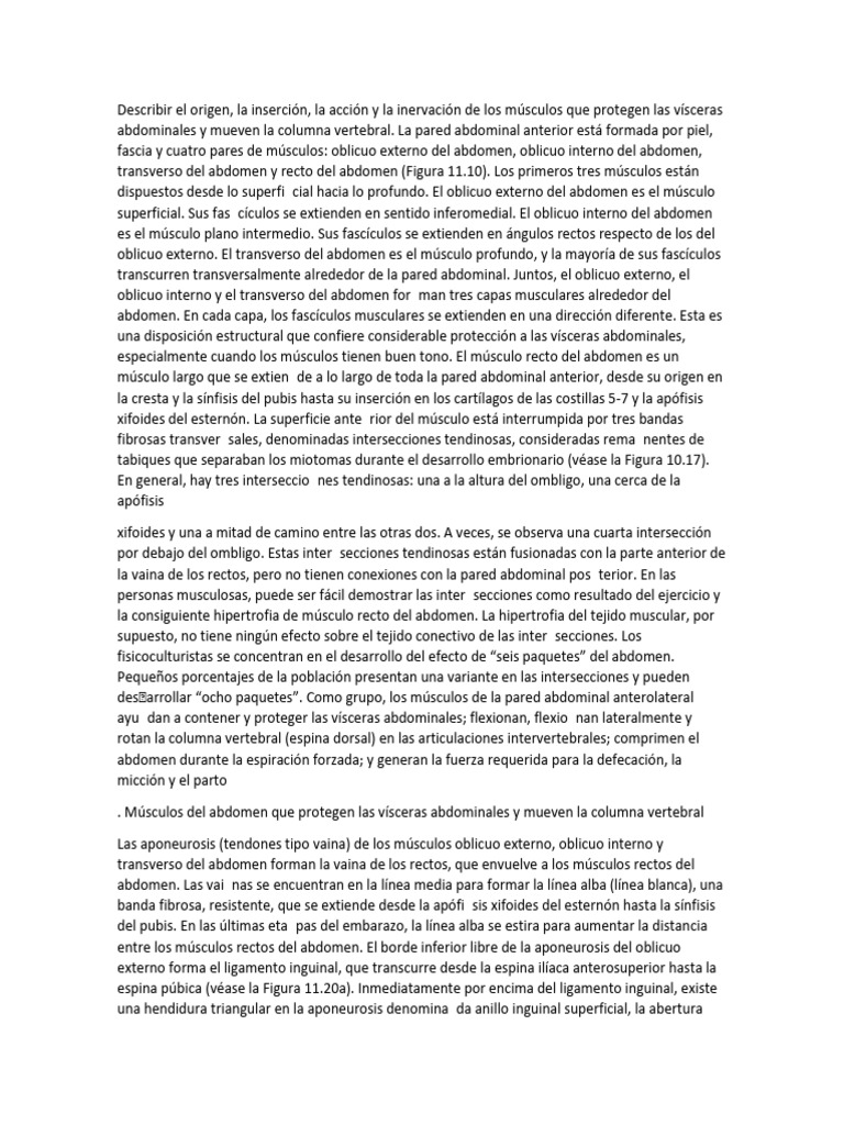 Describir El Origen | PDF