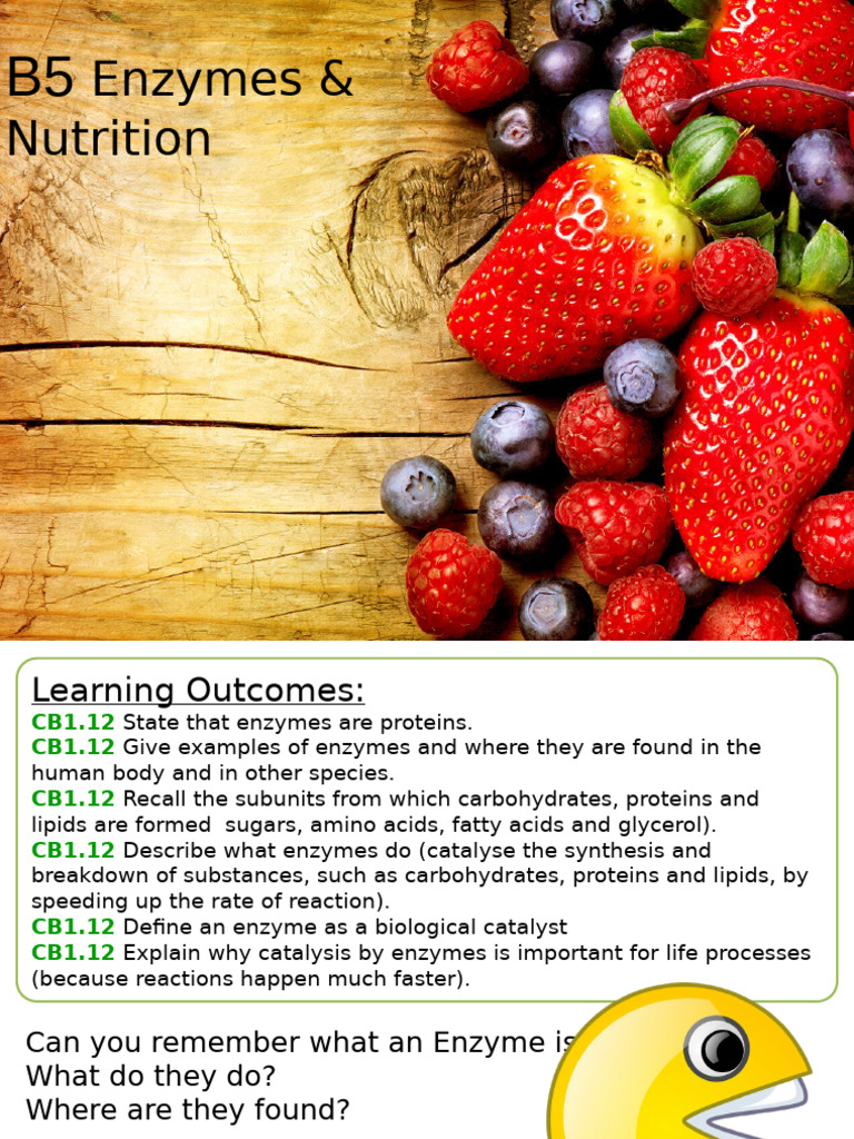 CB1e Enzymes and Nutrition | PDF