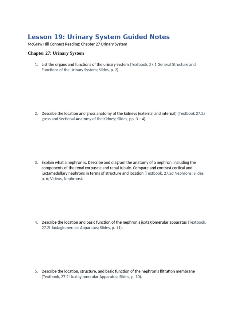 Lesson 19 Guided Notes | PDF