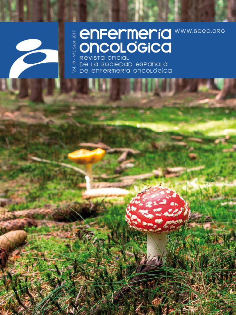 Revista SEEO Oncologia Septiembre 2017 | PDF