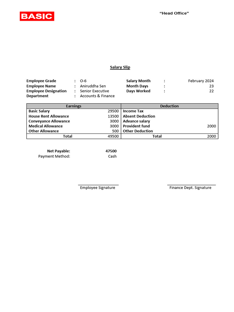 Salary Slip Feb 2024 | PDF