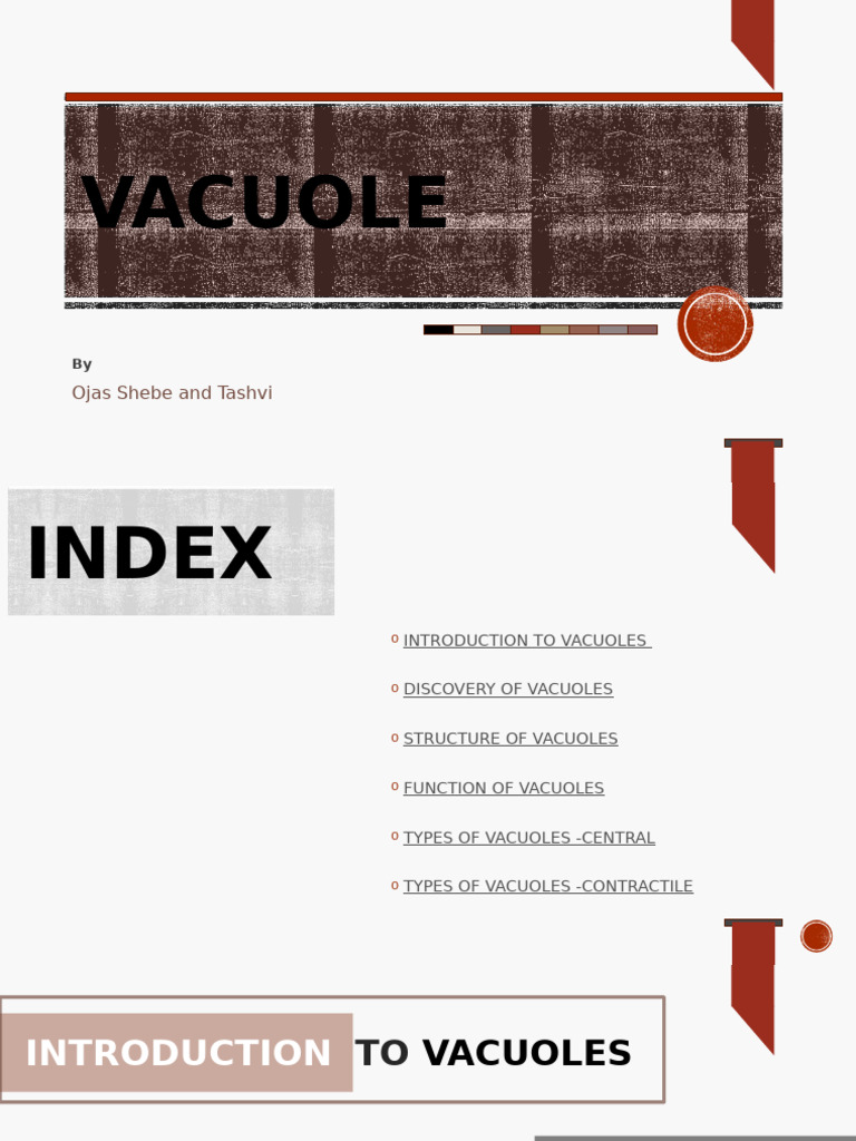 Science PPT On Vacuoles New | PDF