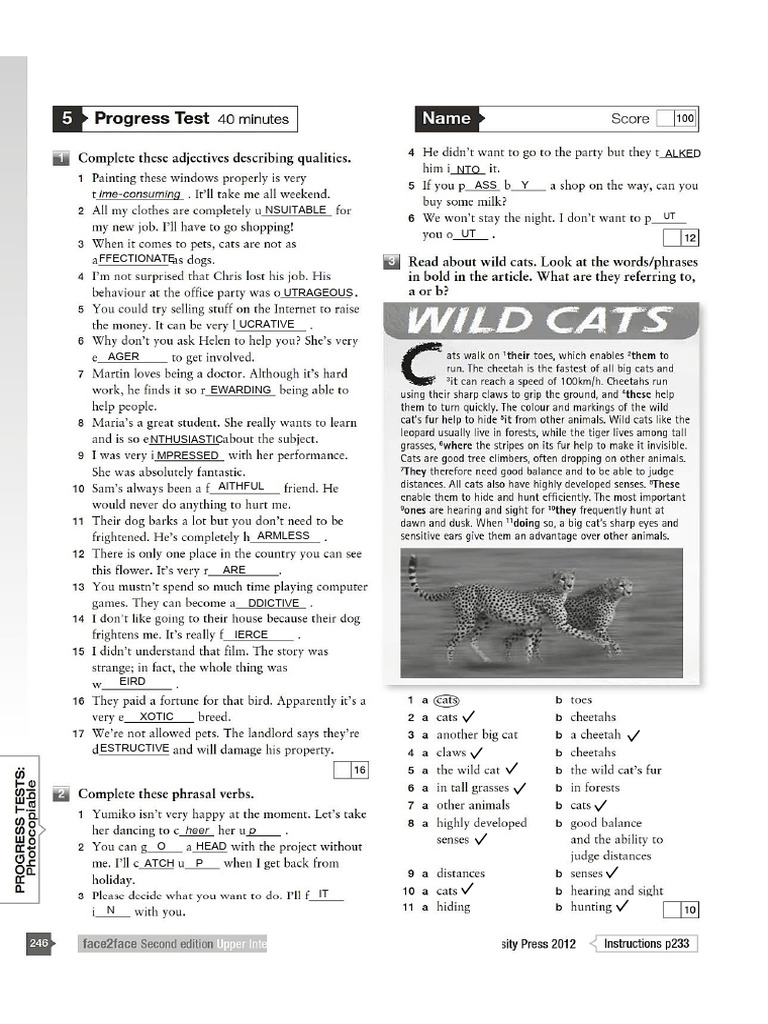 Progress Test - Unit 5 | PDF