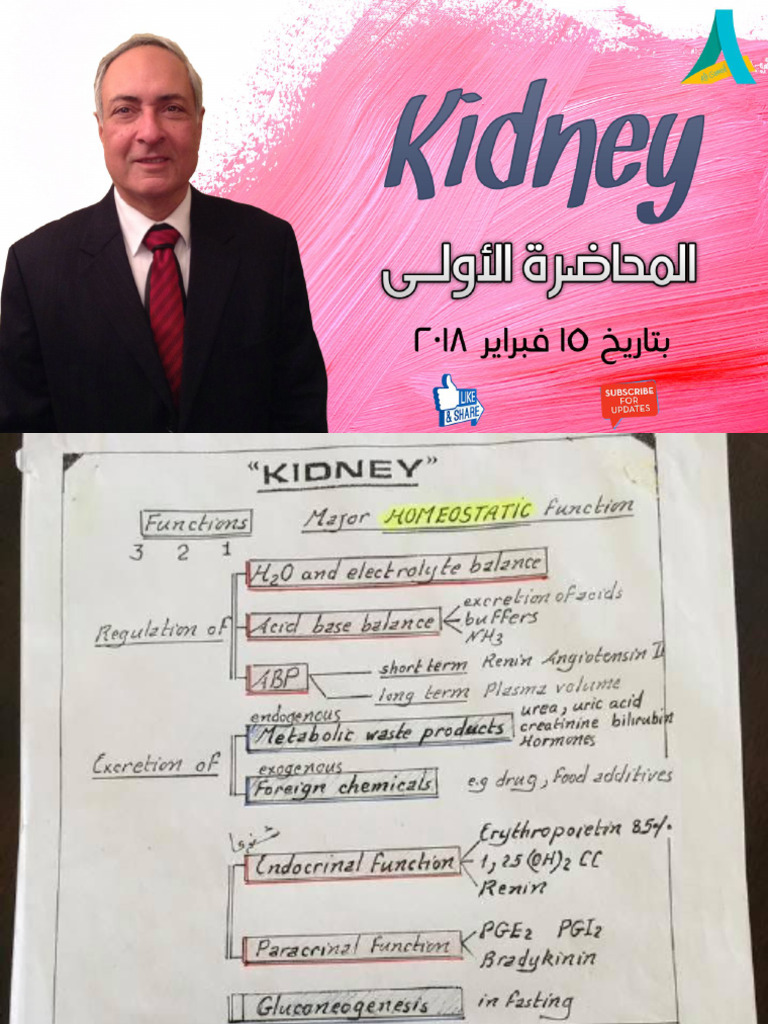 Renal Physiology Diagrams DR Nagi | PDF