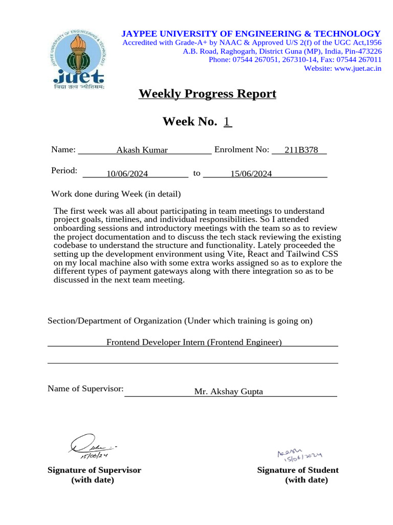 Weekly Progress Report 1 | PDF