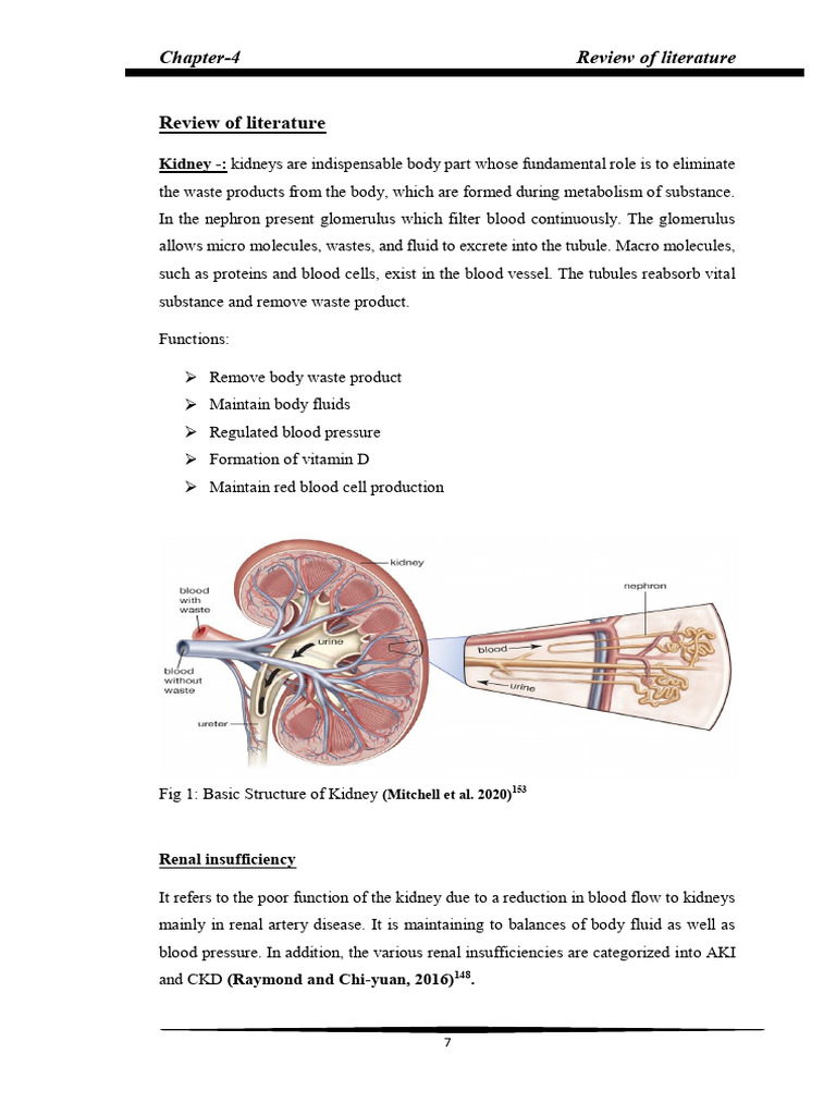 07 - Chapter - 3 | PDF