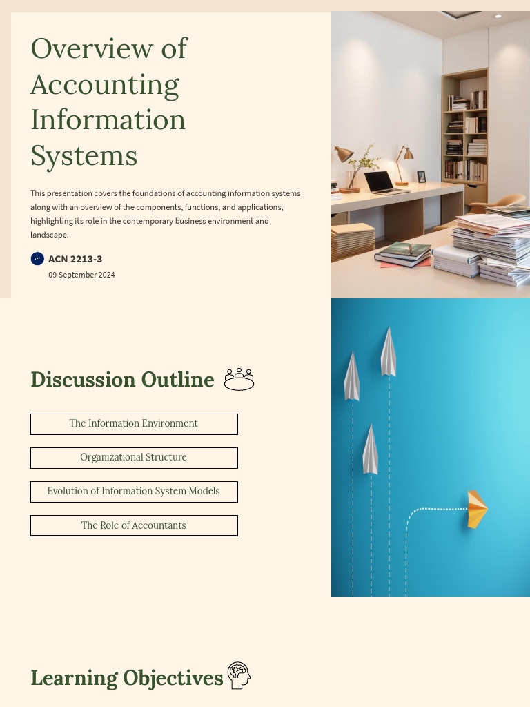 Introduction To Accounting Information Systems-1 | PDF